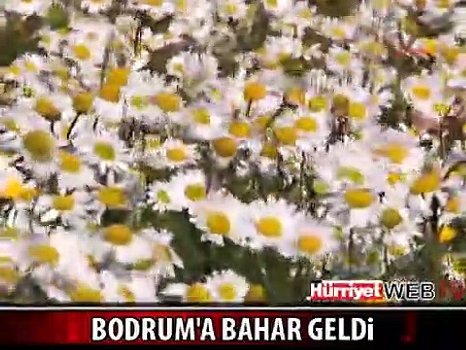 BODRUM'DA BAHAR HAVASI - Dailymotion Video