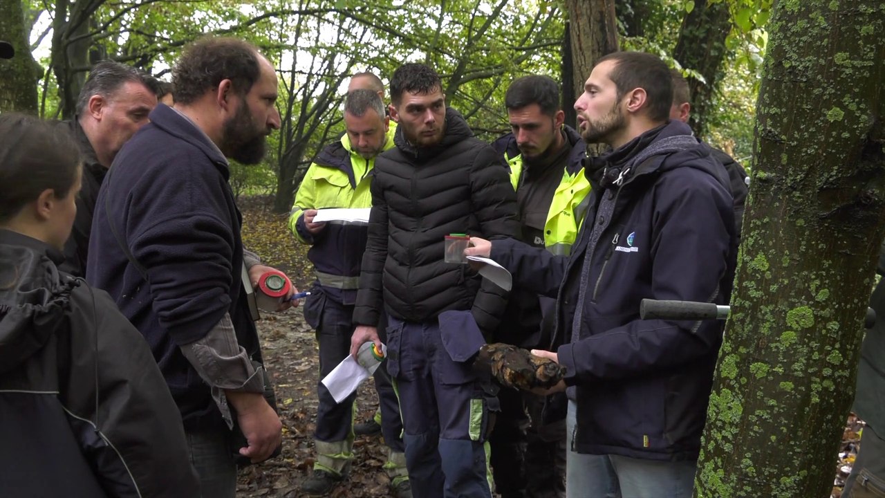 Actus : Le sol de nos espaces verts, un monde vivant - 19 octobre 2022 - Vidéo Dailymotion