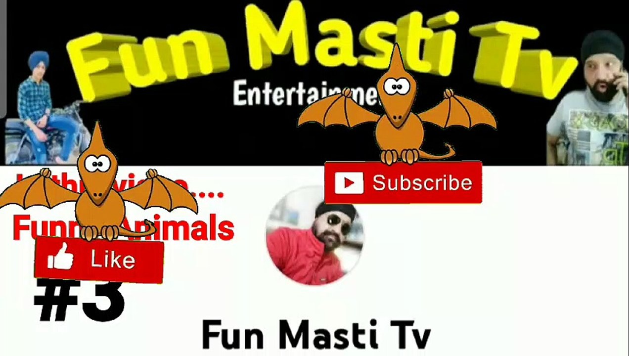 Funny act of home pets and animals, funny comedy animals - video Dailymotion