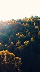 EcoFoote Videos by Matthew Hanly - Dailymotion
