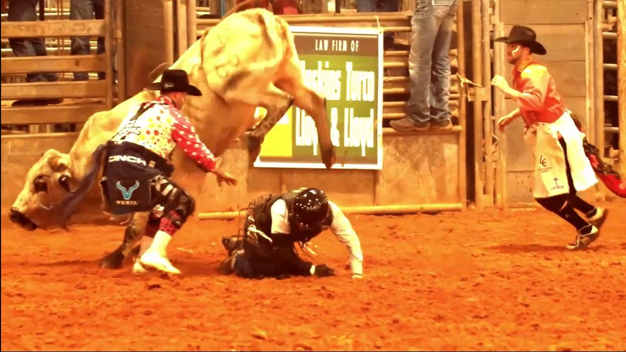 Moo, Kids Cow Videos, Bull Riding, Cow Moo And Bull Sound For Kids # ...