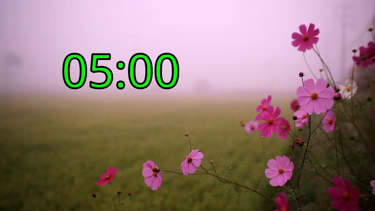 5 minute timer Flovers in nature with relaxation music - Timers Vibe ...