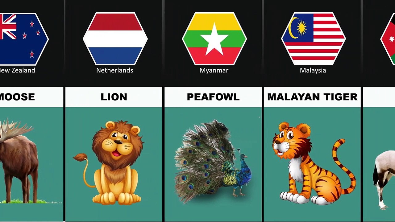 National Animals of Countries - National Animals From Different ...