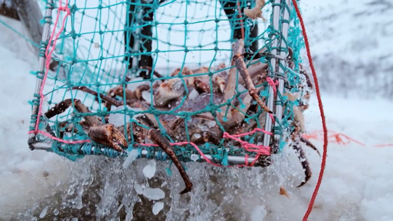 Alaska forced to cancel fishing seasons amid stunning population drop ...
