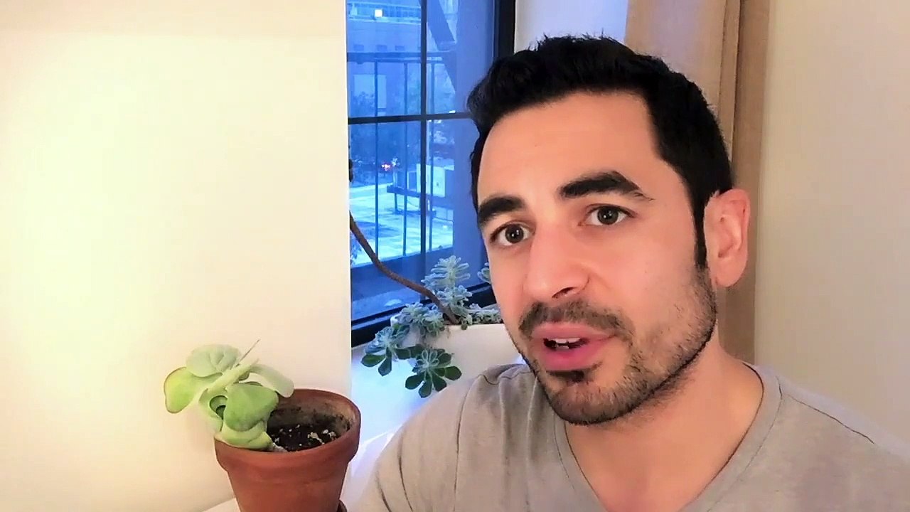 Adobe Illustrator Basics Part 05 - video Dailymotion