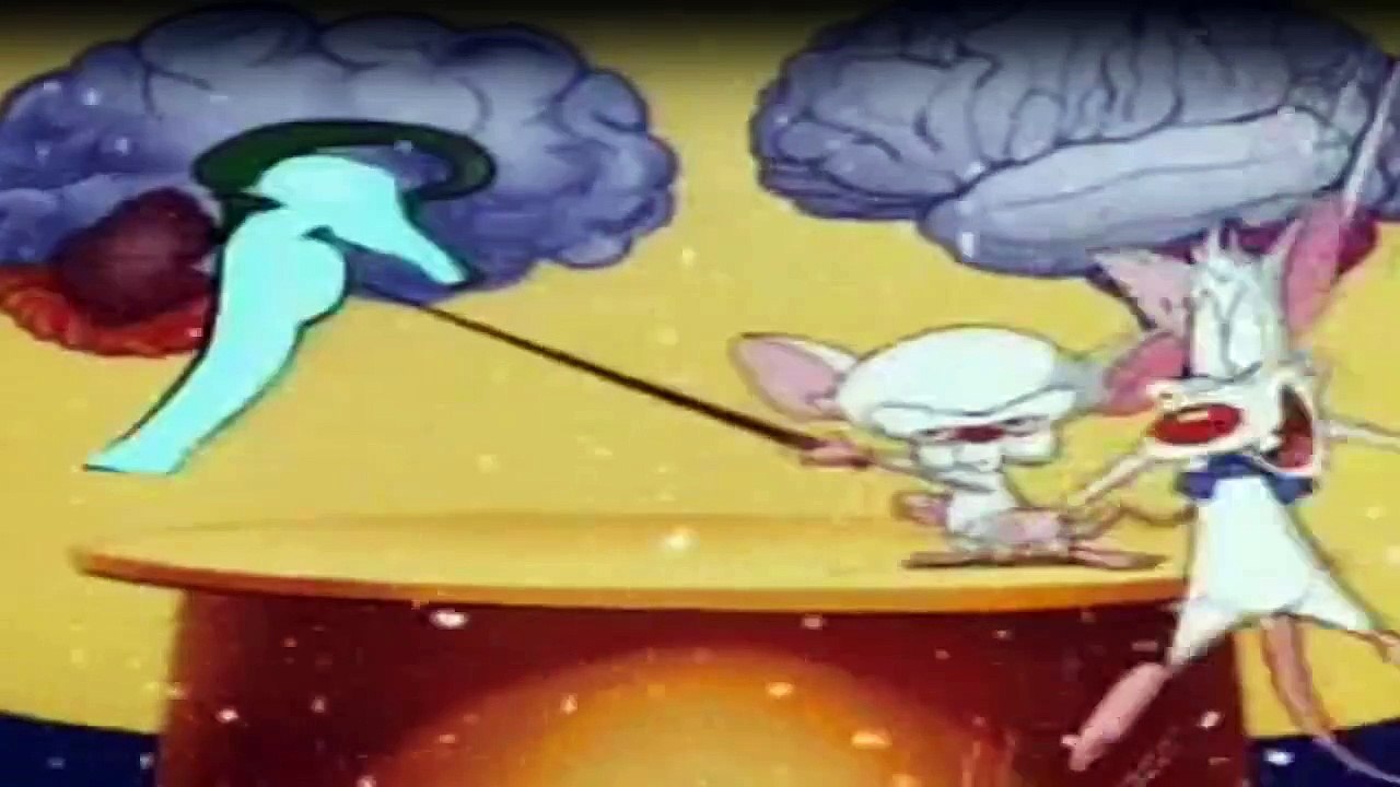 Episode 17 Staffel 1 Von Pinky, Elmyra Und Der Brain – WDXO