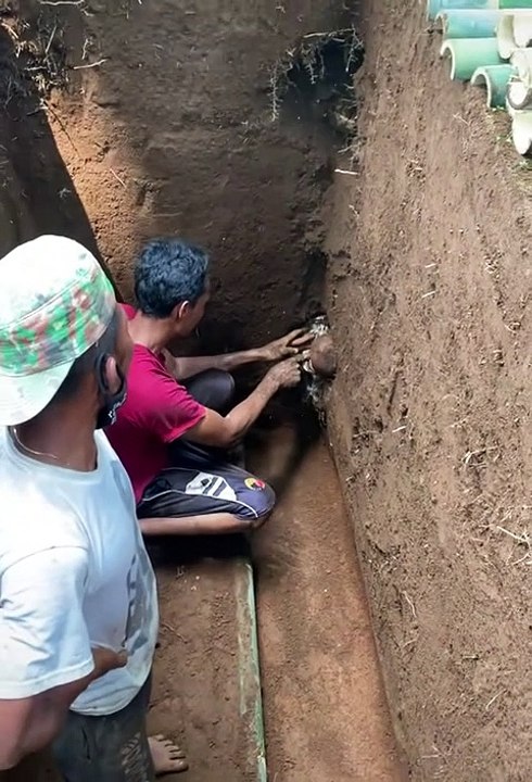 Digging graves find bodies next to them - Video Dailymotion