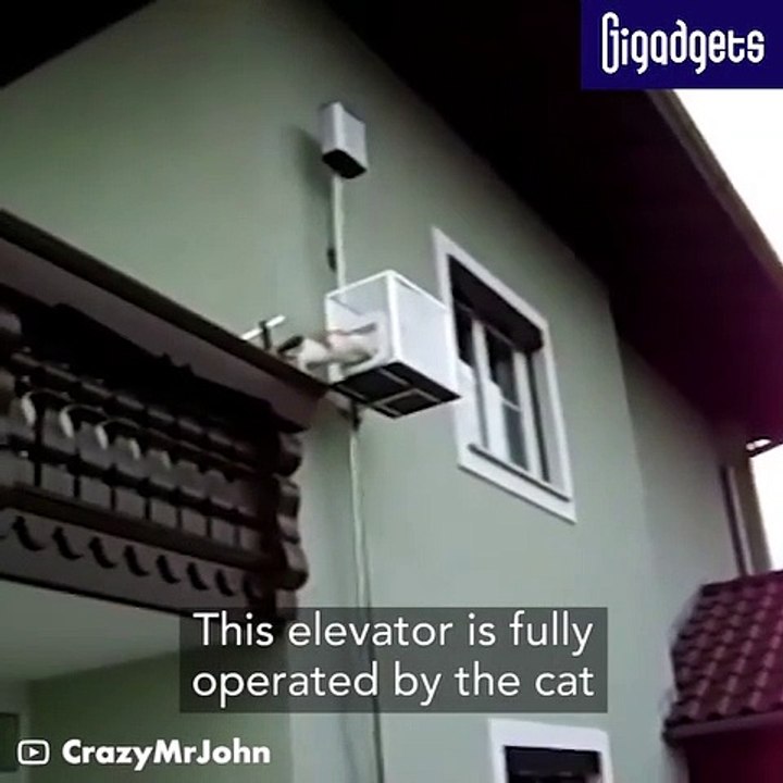 DIY cat elevator (This elevator is fully operated by the cat.…) - video ...