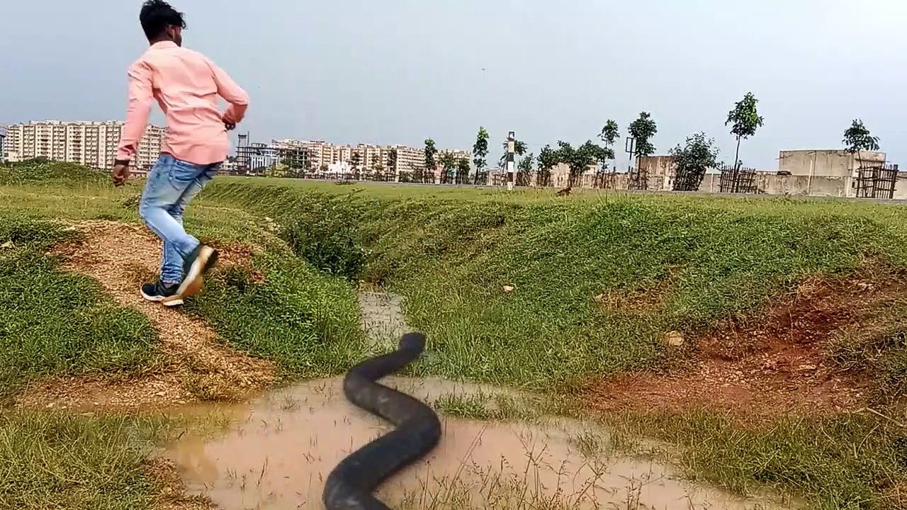 Temple run real life - video Dailymotion