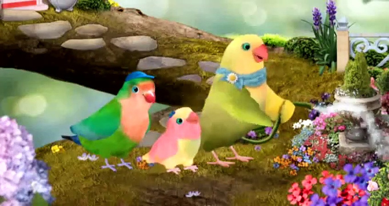 3rd & Bird - Super Slide! - video Dailymotion