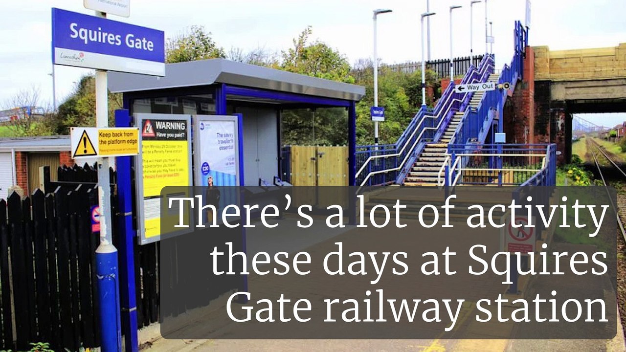 Squires Gate Railway Station wildlife - video Dailymotion