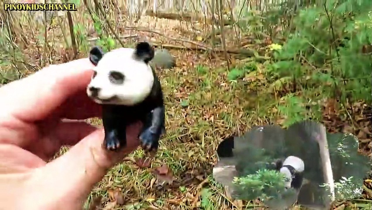 Muddy Zoo Animal Toys Getting Washed - video Dailymotion