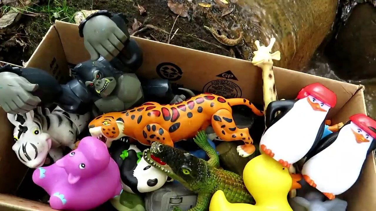 Box filled with various Zoo Animal Toys. - video Dailymotion