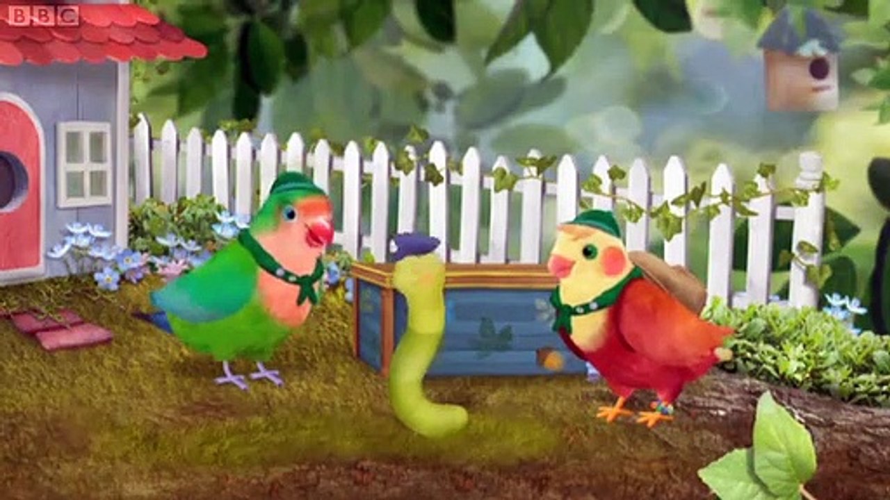 3rd & Bird - Elliot The Budgie! - video Dailymotion