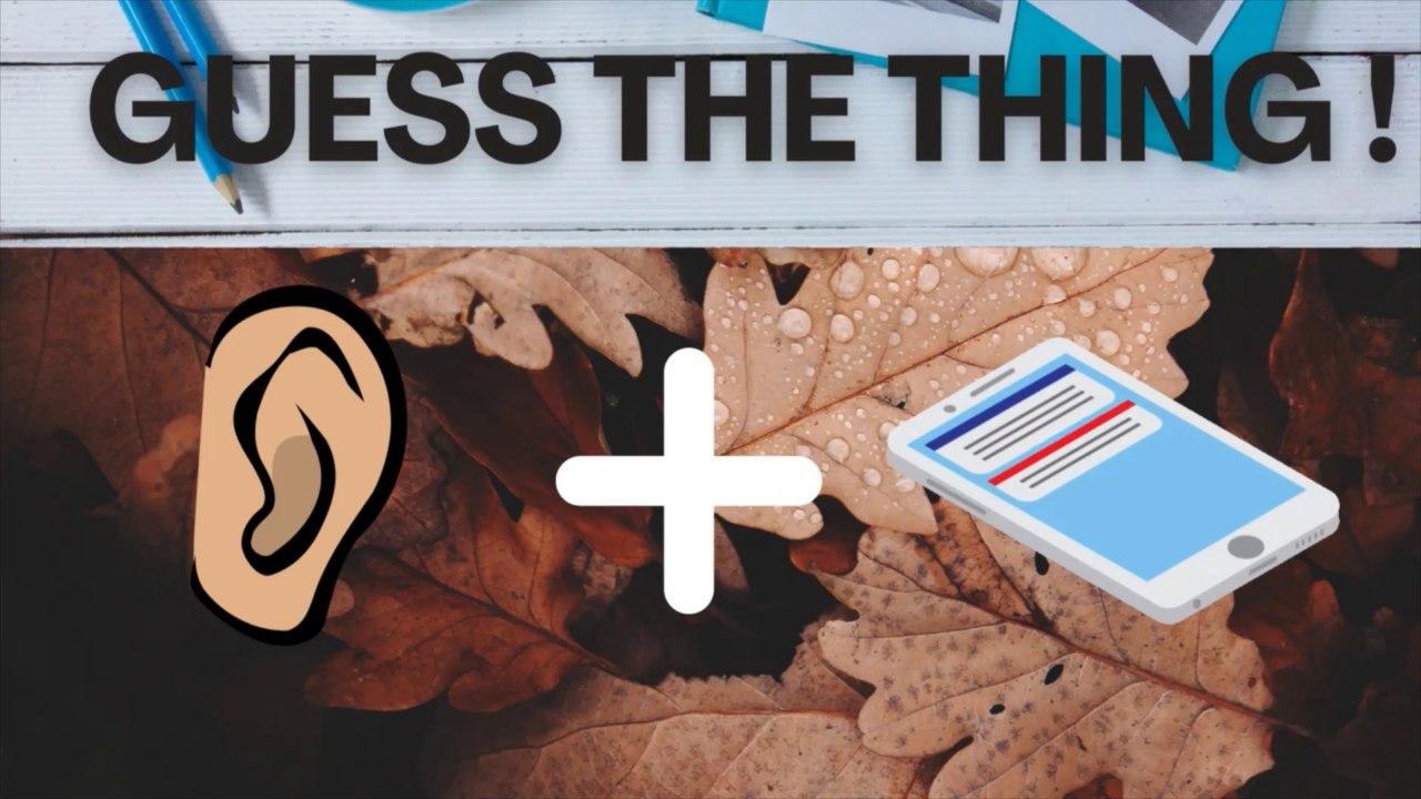 Guess The Thing ⁉ - video Dailymotion