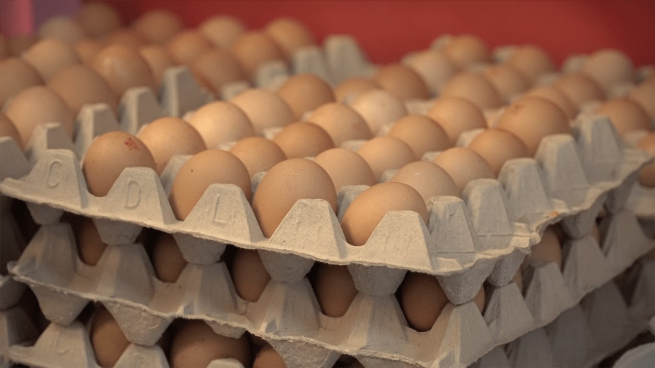 Medway Butcher warns bird flu could destroy business - video Dailymotion