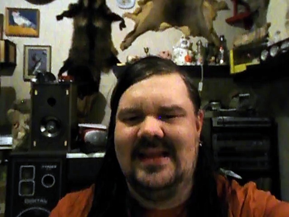 Joutsenten Muuttoa Ihmettelemässä - video Dailymotion