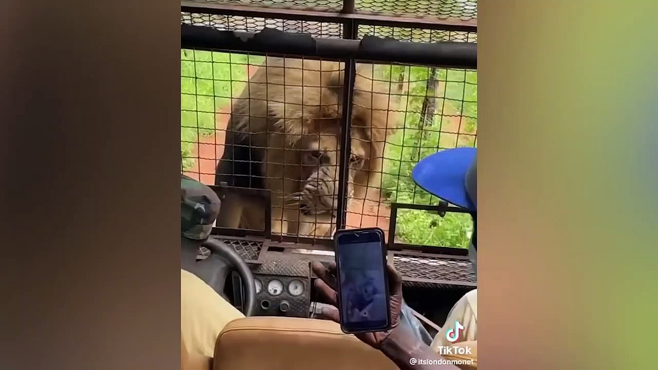 Damn Nature You Scary _ Rare & Scary Animal Encounters - video Dailymotion