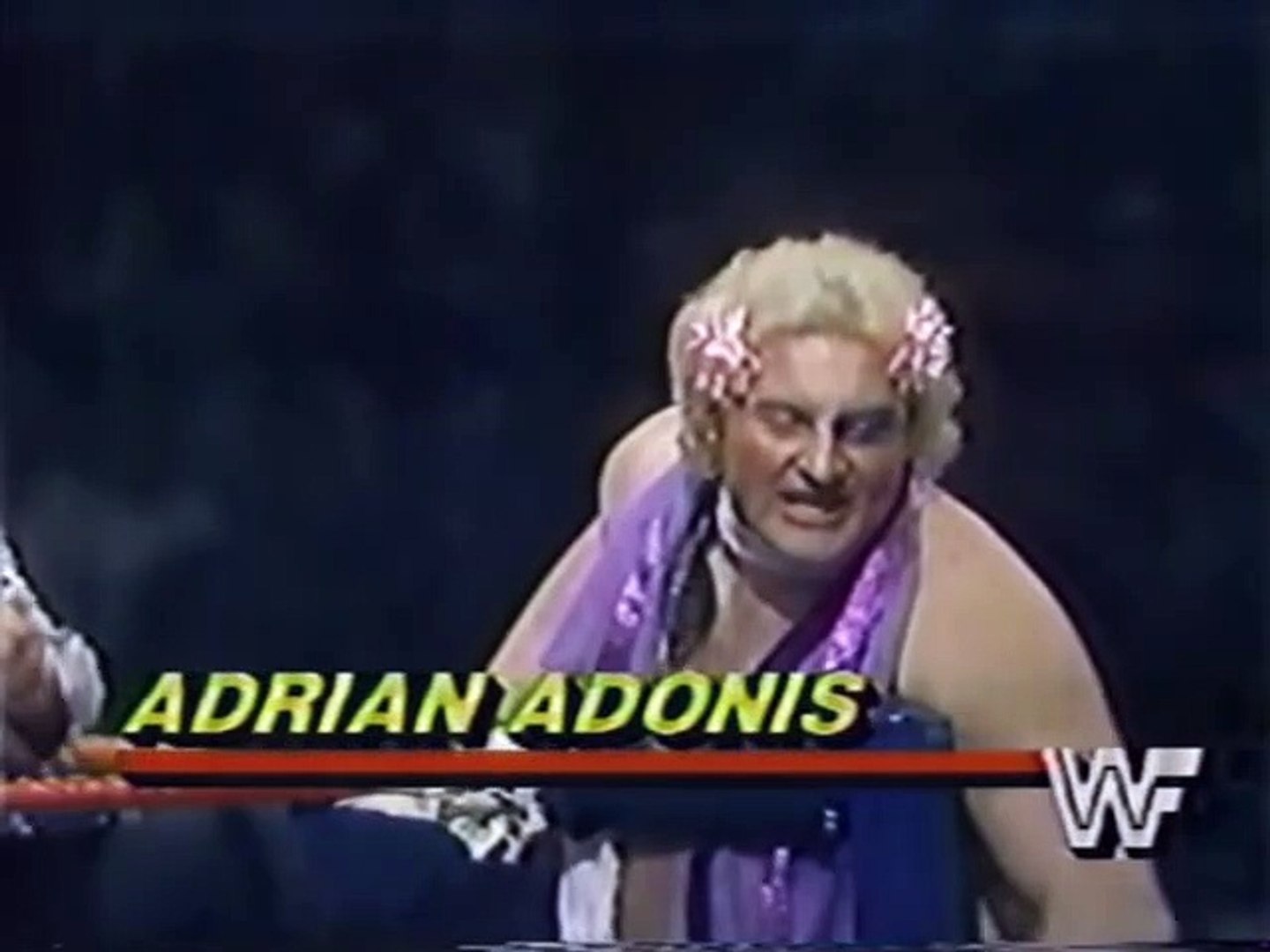 Adrian Adonis