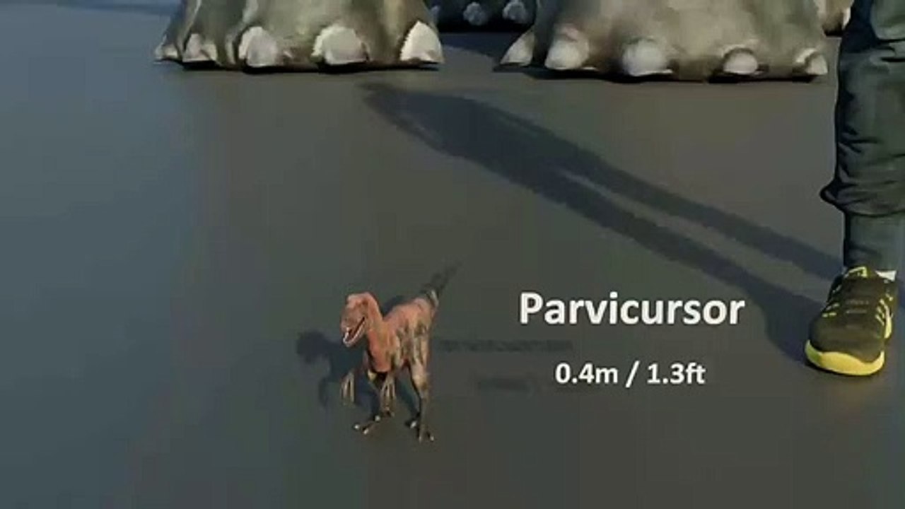 Smallest Dinosaur vs Biggest Dinosaur Size Comparison - video Dailymotion