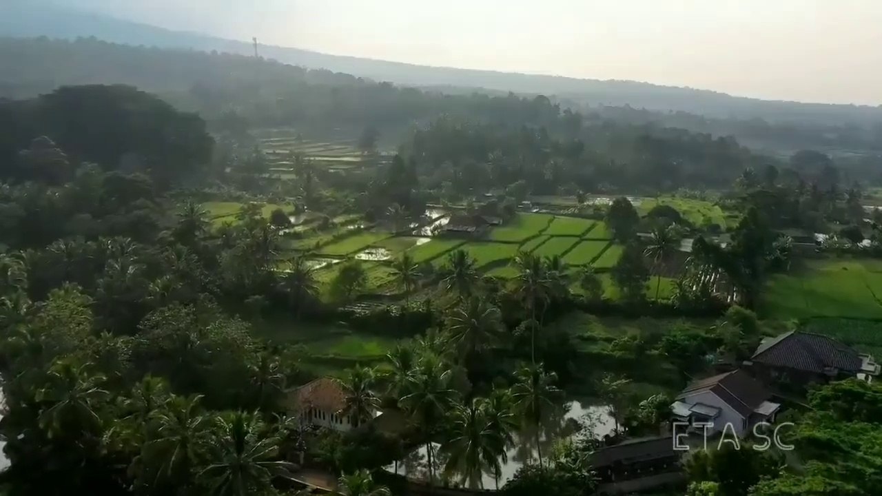 Suasana pedesaan jawa ,sawah sunda bikin sejuk - Video Dailymotion