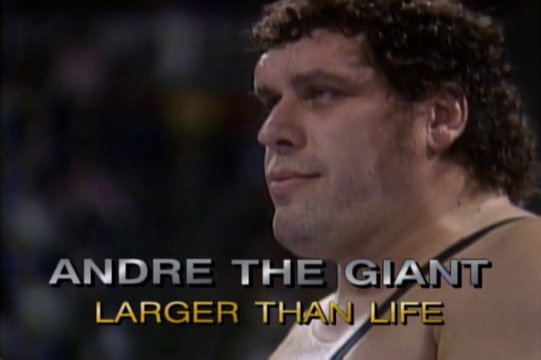 Andre the Giant Biography: Larger than Life - video Dailymotion