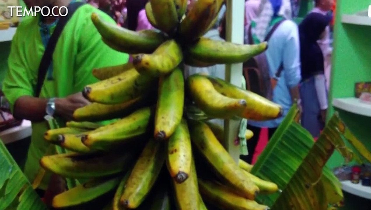 Arkeolog Temukan Pisang Unik Hadap Langit di Pulau Kapotar Papua ...