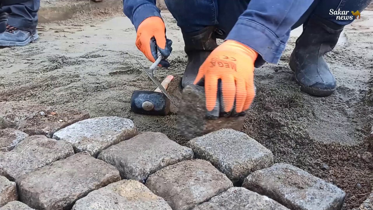 Редене на павета Video Dailymotion