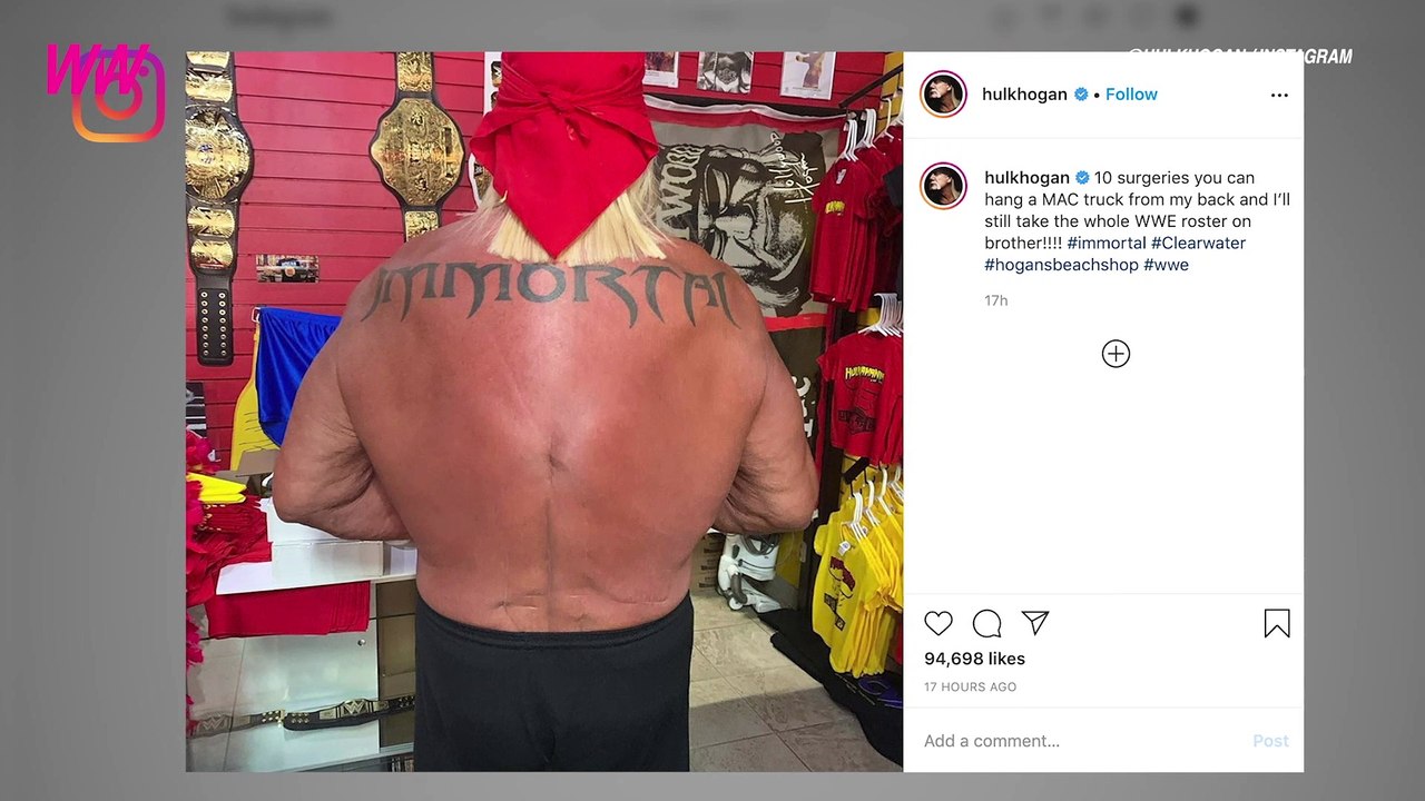 Hulk Hogan Shares Photo of Scars From 10 Back Surgeries - video Dailymotion