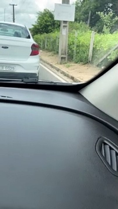 Snake Tries to Hitch a Ride Under Car Hood - video Dailymotion