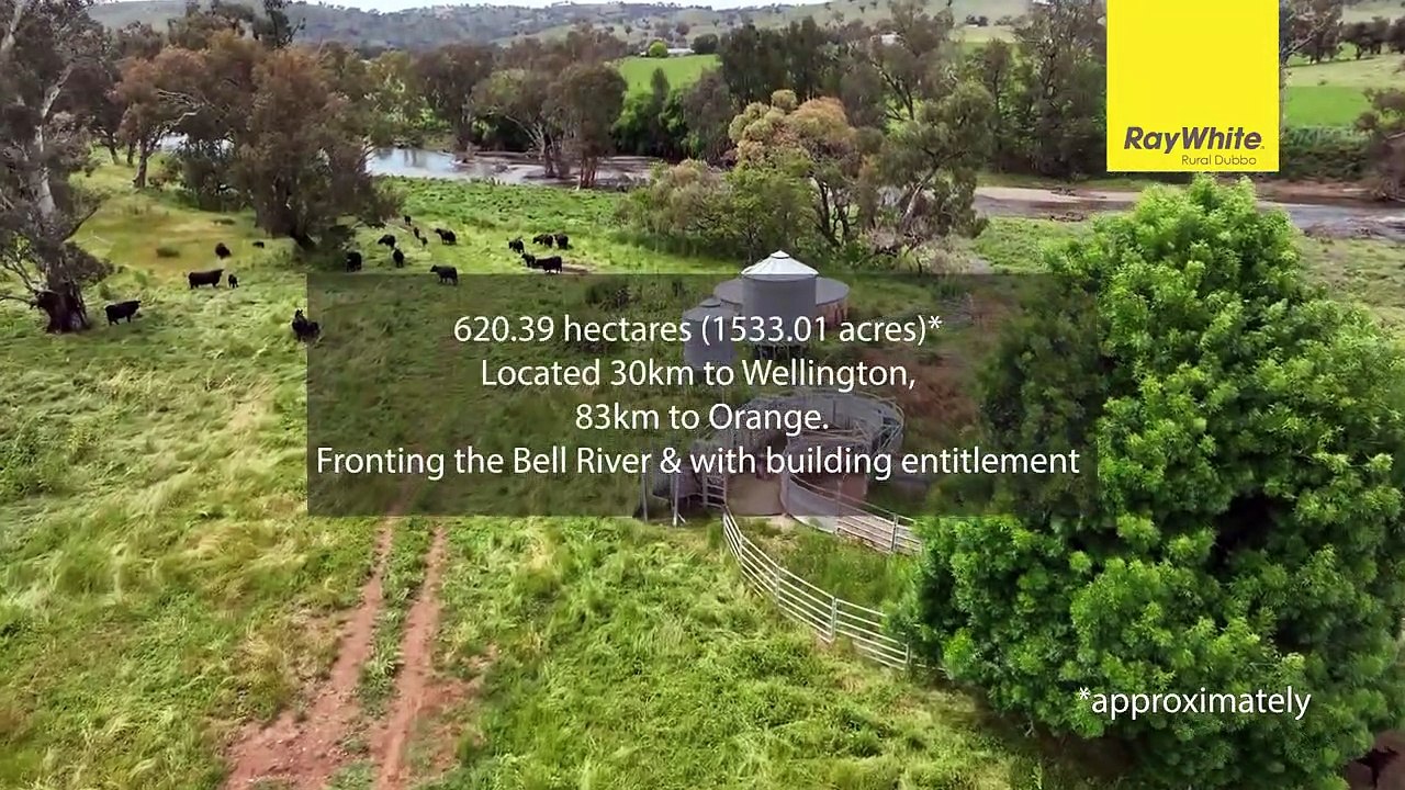 Bell Farms, Wellington, NSW - November 24, 2022 - Farmonline - video ...