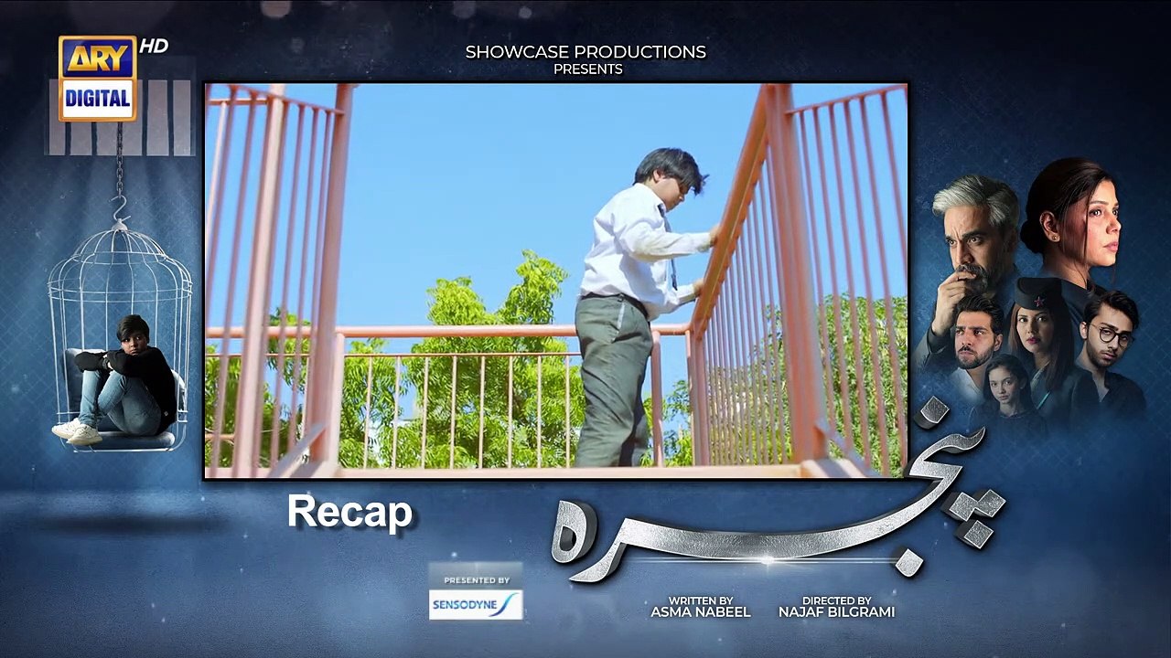 Pinjra Episode 9 - Presented by Sensodyne - 24th November 2022 - ARY ...