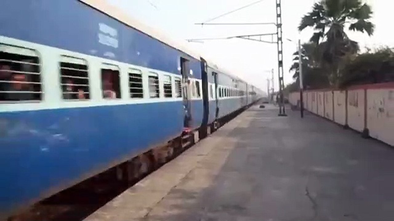 Compilation animals vs train - video Dailymotion