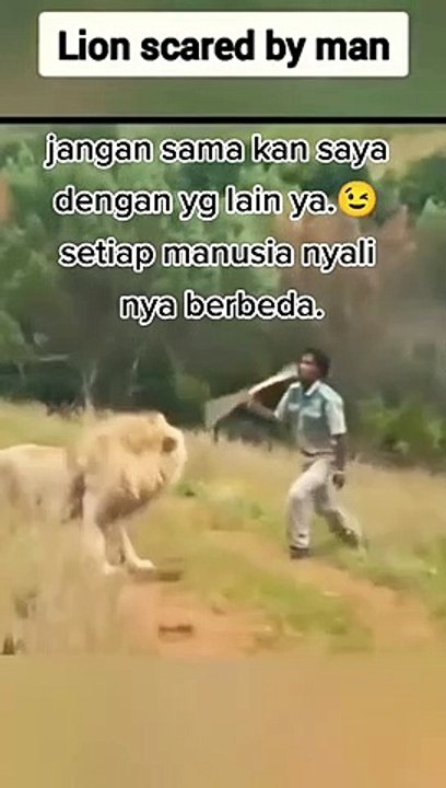 Manusia bernyali singa - Video Dailymotion