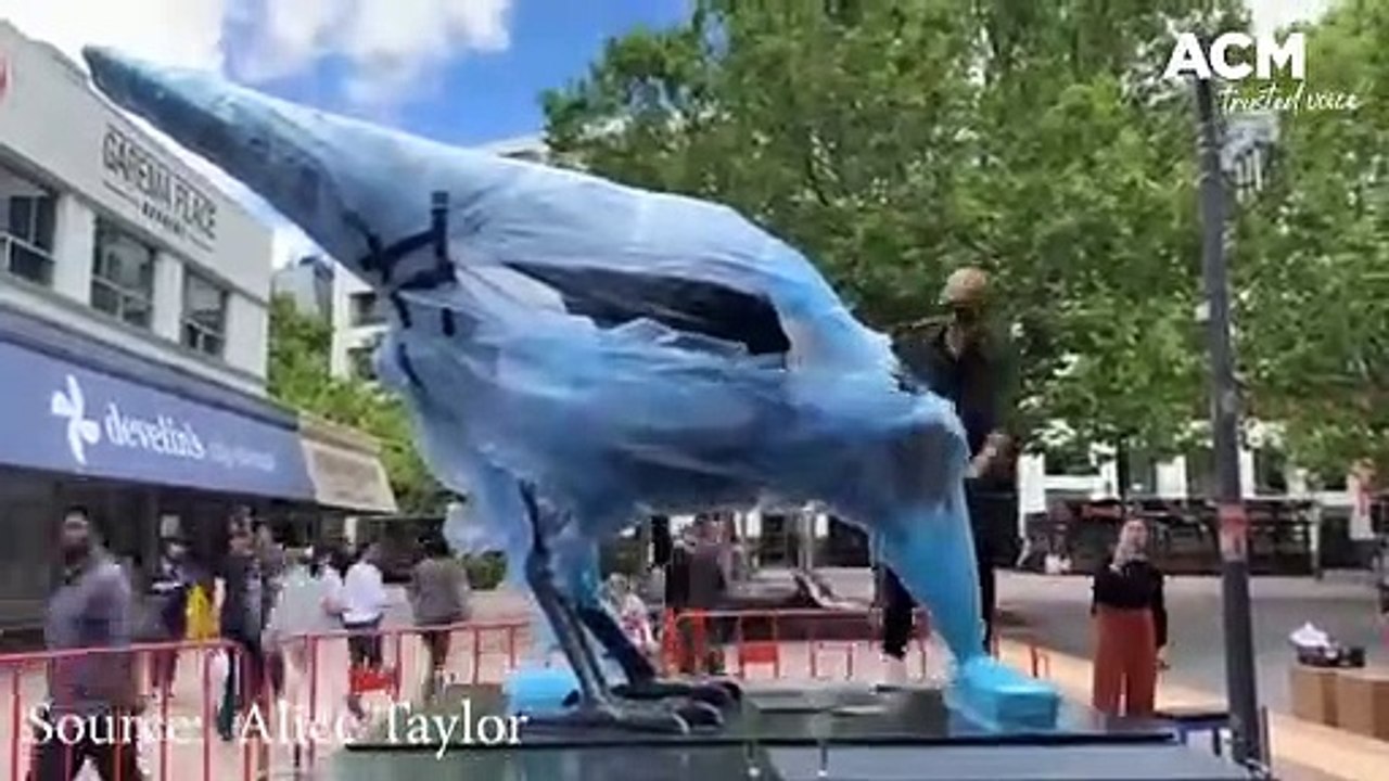 Big Swoop returns to Civic - video Dailymotion