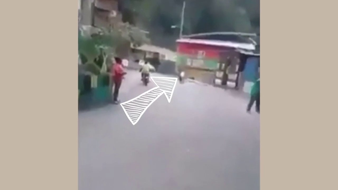 Weird Talents - video Dailymotion