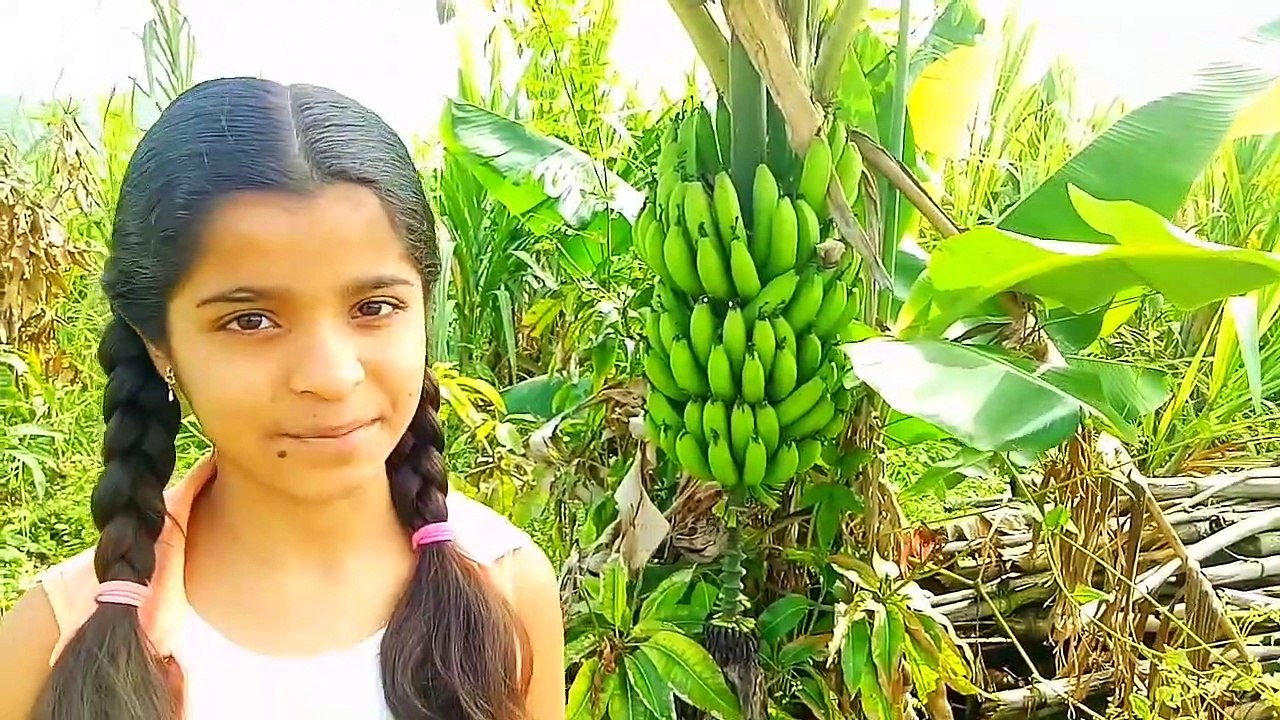 Health Benefits Of Banana Information In English @kuberclasses_HD ...