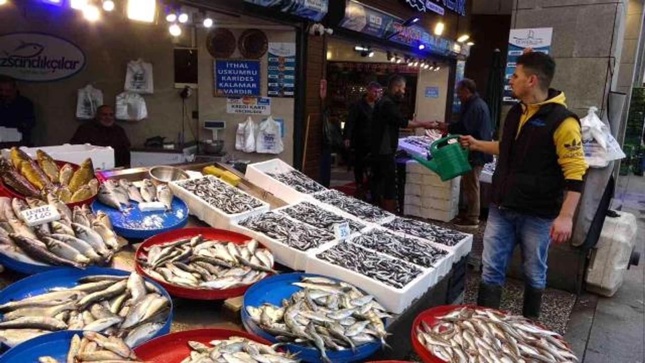 Hamsi, Trabzon açıklarına ulaşınca tezgahlardaki yerli hamsiye ilgi ...