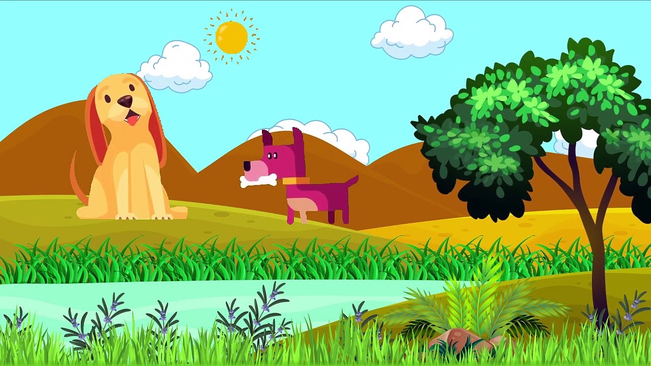 BINGO Dog Song - Nursery Rhyme - Cartoon Animation Rhymes & Songs for ...