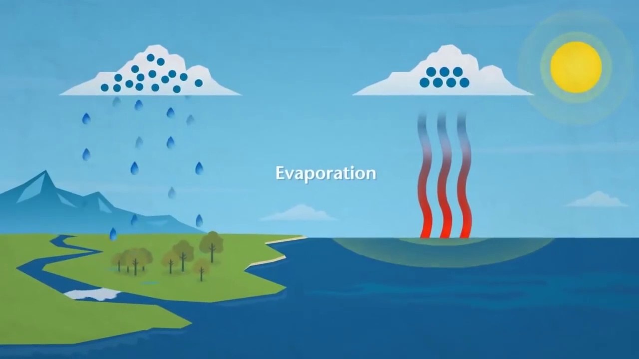 How does rain form and what is the water cycle? - video Dailymotion