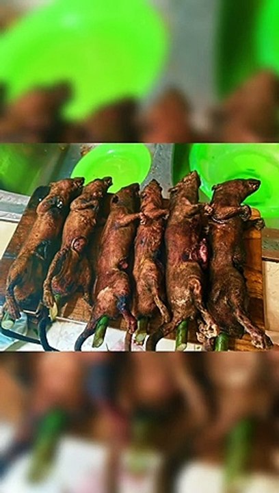 Tikus Garo Rica (Makanan Ekstrim Minahasa/Manado) - Video Dailymotion