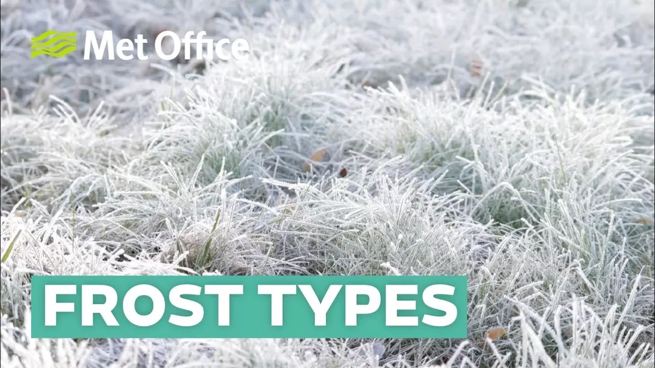 How do different types of frost form? - video Dailymotion