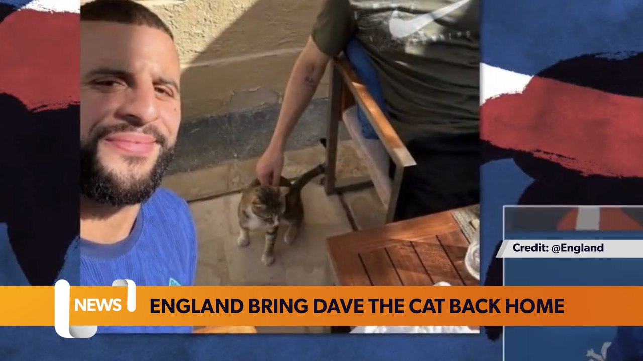 National Sports Headlines 12 December: Dave the cat comes home! - video ...