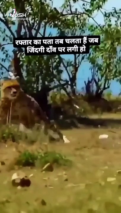 The bakwas tag, The bakwas motivational, The motivational video, Comedy ...