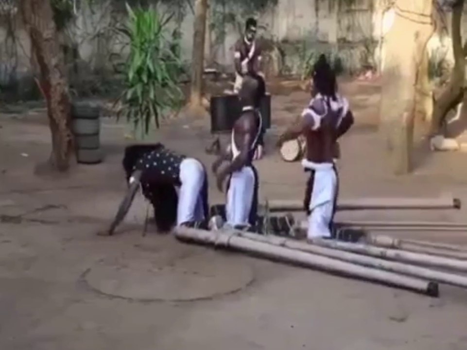 Amazing funny video How can they standup in bambuAmazing funny video ...