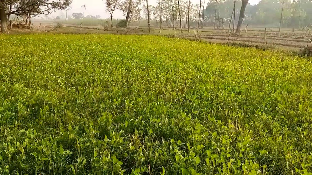 NECHAR beautiful video#shorts #Aja na Hindi song - video Dailymotion