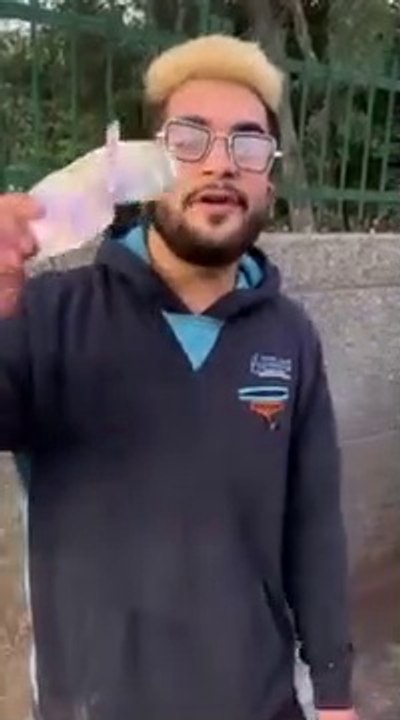 1_GOLD_%E0%A4%95%E0%A4%BE_Burger_%E0%A4%96%E0%A4%BE%E0%A4%93_%F0%9F%98 ...