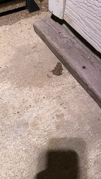 FFG Rocks videos - Dailymotion