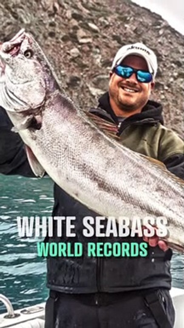 World Record White Bass