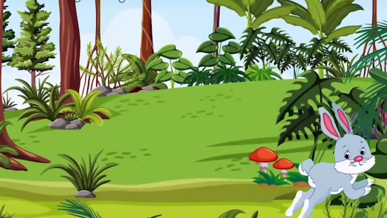 Little bunny foo foo | Nursery rhyme - video Dailymotion